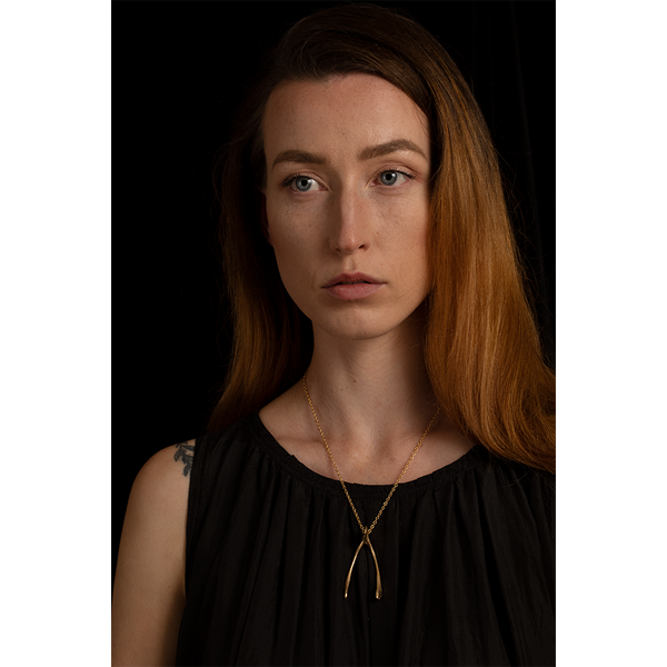 Gold Chicken Wishbone Necklace – Art and Taxidermy